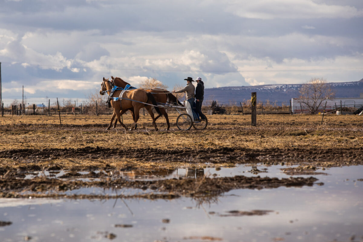 West Warren’s Jordan Hadley carries on family tradition — love of ...